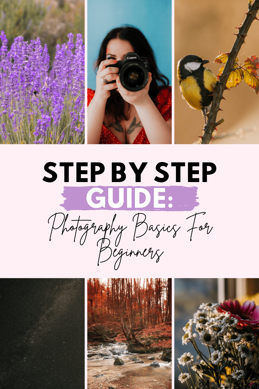 Photography Basics For Beginners; A Step-by-Step Guide