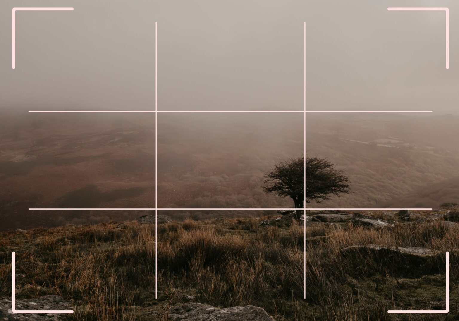 Composition in Photography for Beginners (A Beginner's Guide)